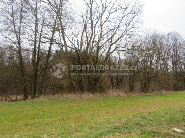 Pozemek o velikosti 4343m2, české budějovice, podíl 1/4 - elektronická dražba - Portál dražeb