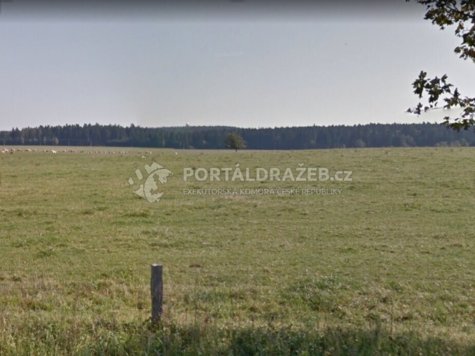 Pozemek o velikosti 9944m2, Benešov u Boskovic