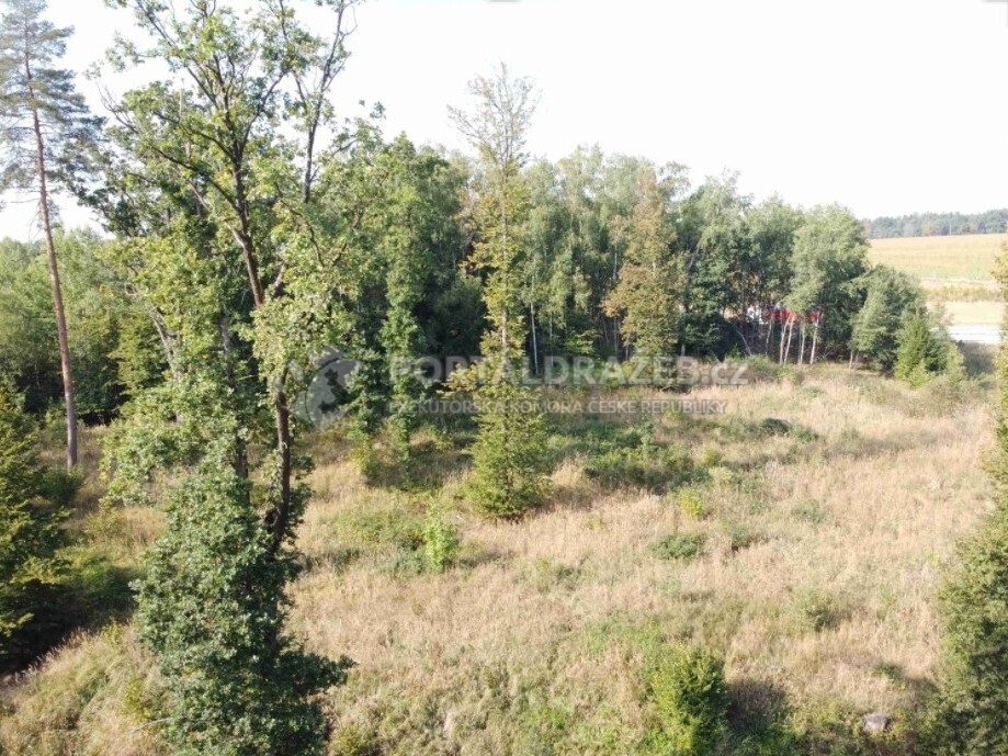 Pozemek o velikosti 1351m2, Borek u Českých Budějovic